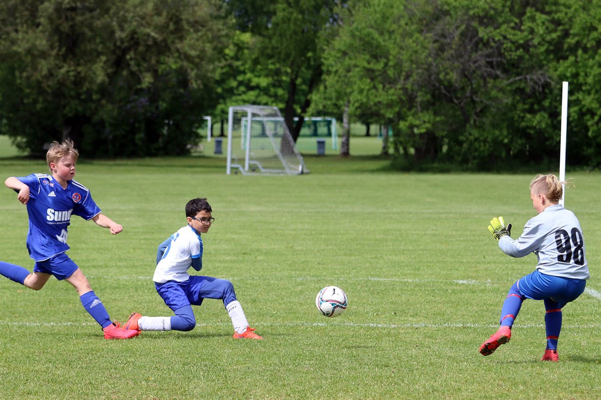 Bildgalleri / Forssa BK - P17 Akademi